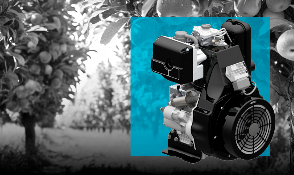 Página de inicio - MOTORES MINSEL Gasolina y Diésel